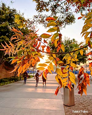 Teaching Credentials - California State University Fullerton - Modern ...